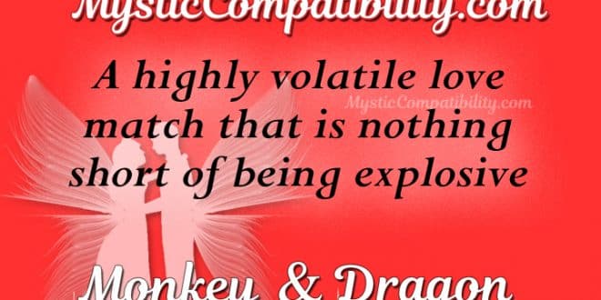 Monkey Dragon Compatibility - Mystic Compatibility