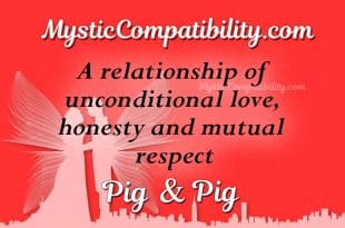 Pig Pig Compatibility - Mystic Compatibility