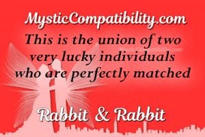Rabbit Rabbit Compatibility - Mystic Compatibility