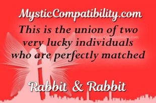 Rabbit Rabbit Compatibility - Mystic Compatibility