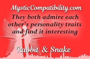 Rabbit Snake Compatibility - Mystic Compatibility