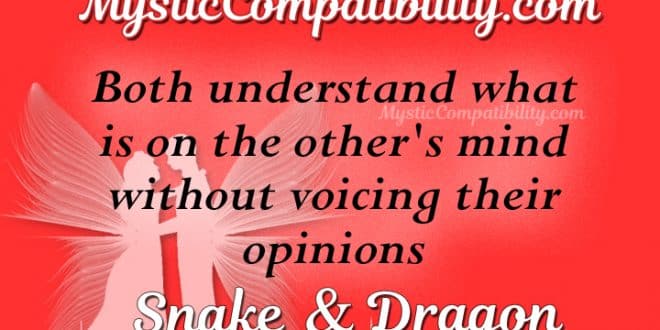 Snake Dragon Compatibility - Mystic Compatibility